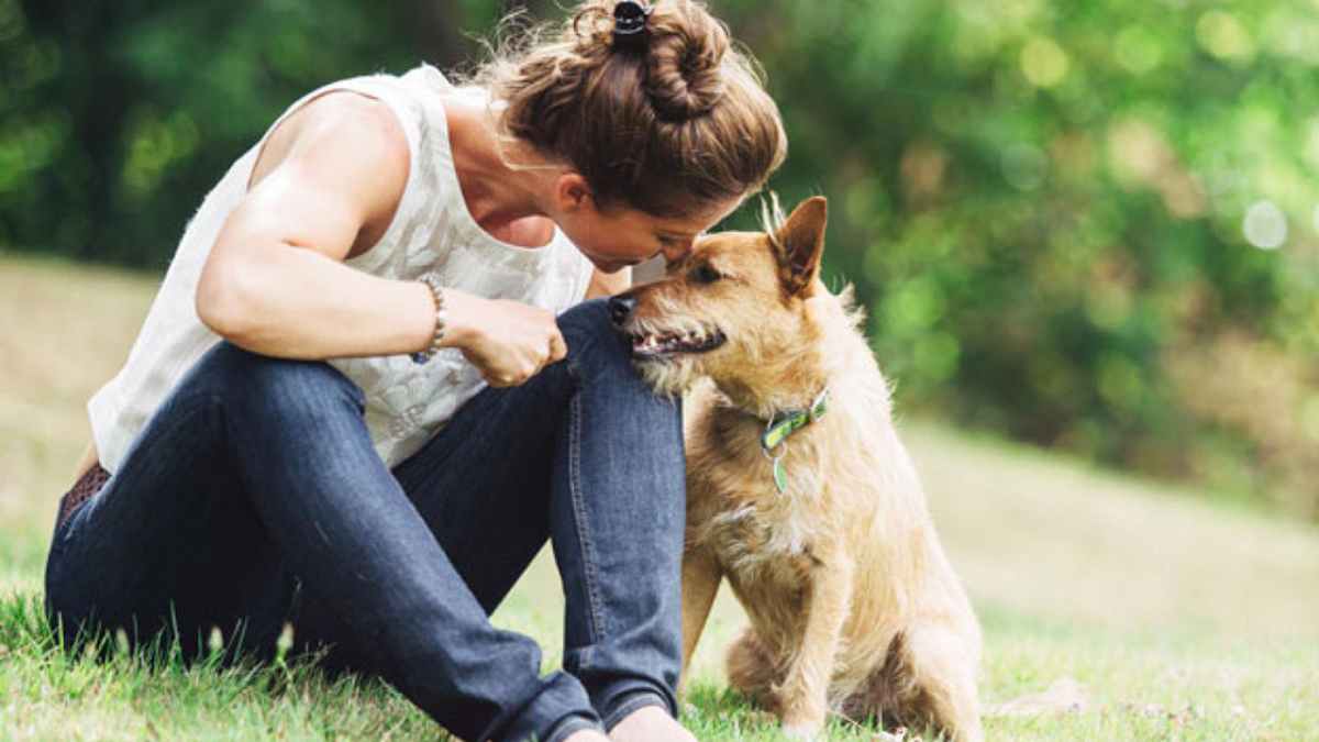 How To Improve Your Overall Lifestyle | ZXQ