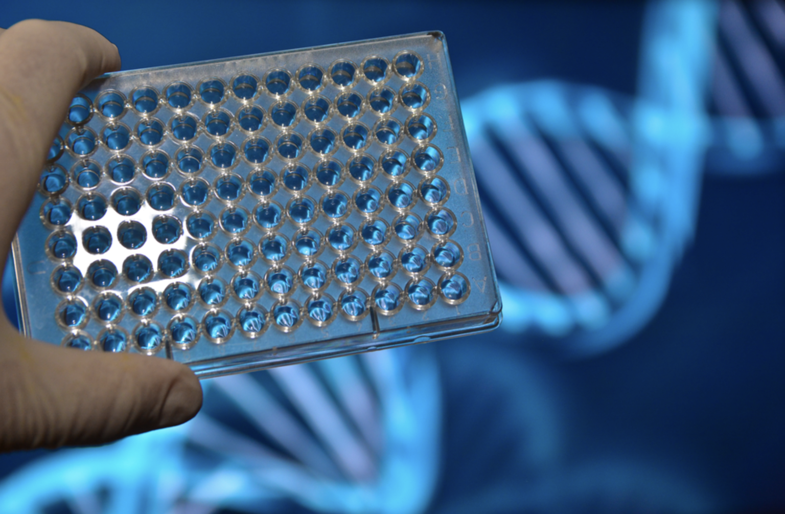 Understanding Cytokine Array Scanning: A Layman’s Guide | ZXQ