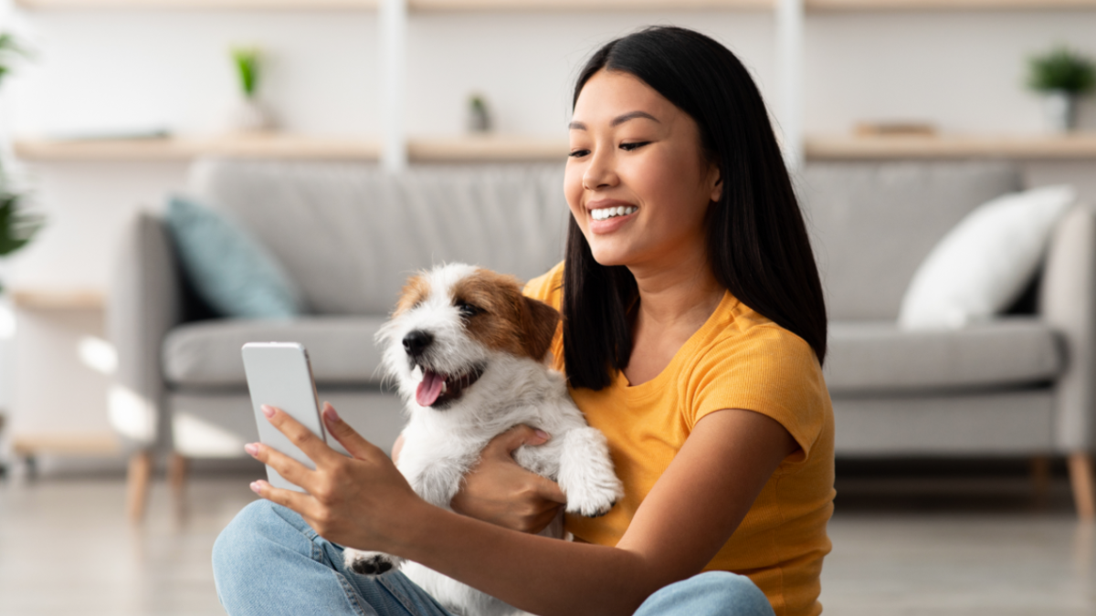 Advantages of Virtual Pet Care | ZXQ